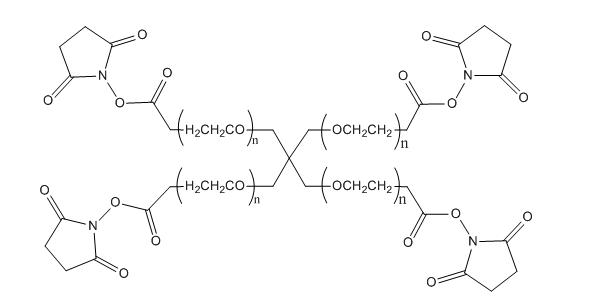 四臂PEG活性酯,4ARM-PEG-NHS,芃硕生物