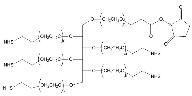 六臂PEG活性酯,6ARM-PEG-NHS,芃硕生物