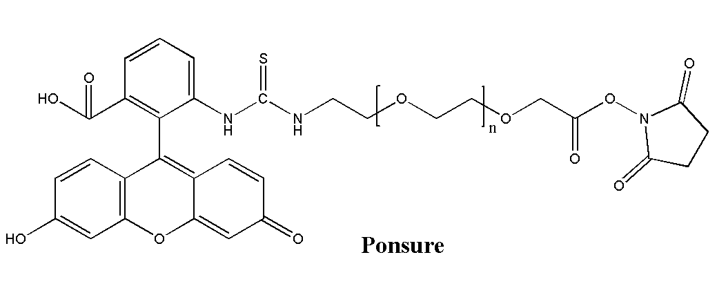 荧光素PEG活性酯, FITC-PEG-NHS，FLUORESCEIN PEG NHS