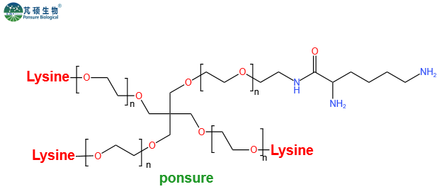 4ARM-PEG-Lysine,四臂PEG赖氨酸