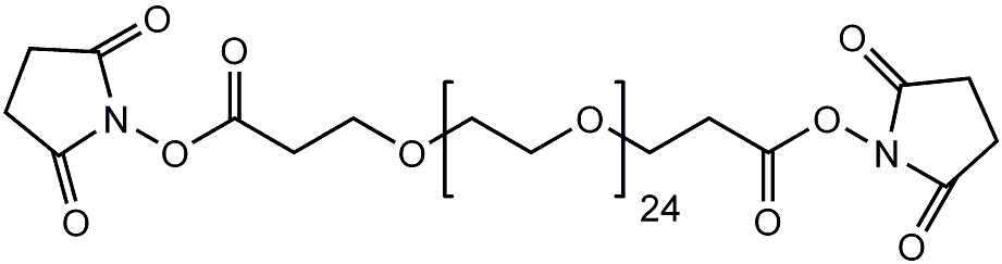 1008402-79-6,NHS-PEG24-NHS,活性酯二十四聚乙二醇活性酯