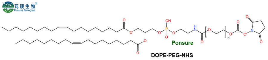 DOPE-PEG-NHS,二油酰磷脂酰乙醇胺PEG活性酯