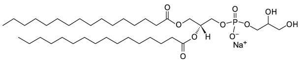 二棕榈酰磷脂酰甘油,DPPG,芃硕生物