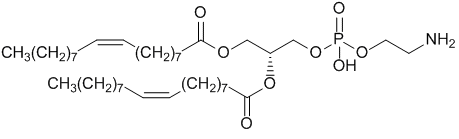 二油酰基磷脂酰乙醇胺,DOPE,芃硕生物